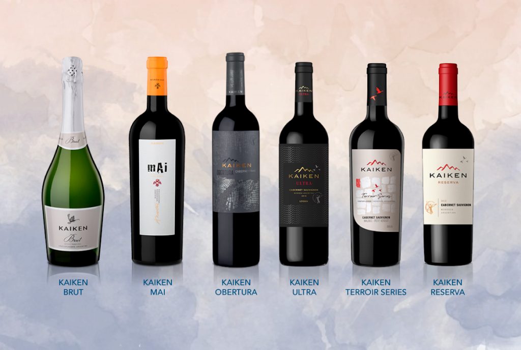 Conoce Bodega Kaiken: El Nuevo Mundo en una botella