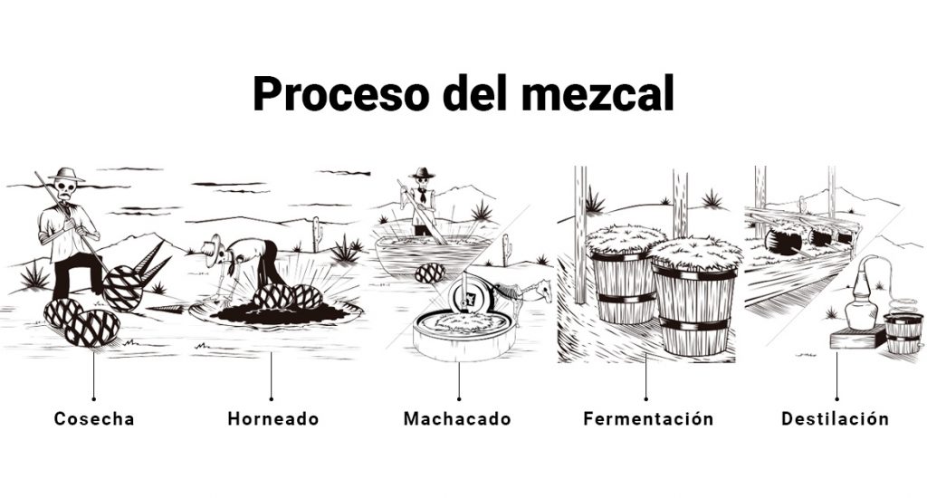 Mezcal Siete Misterios: uno de los preferidos de los mejores bares