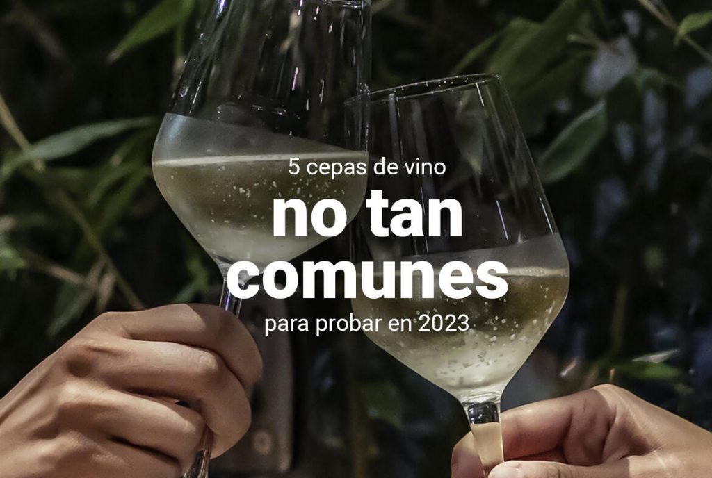 5 cepas de vino no tan comunes que deberías probar